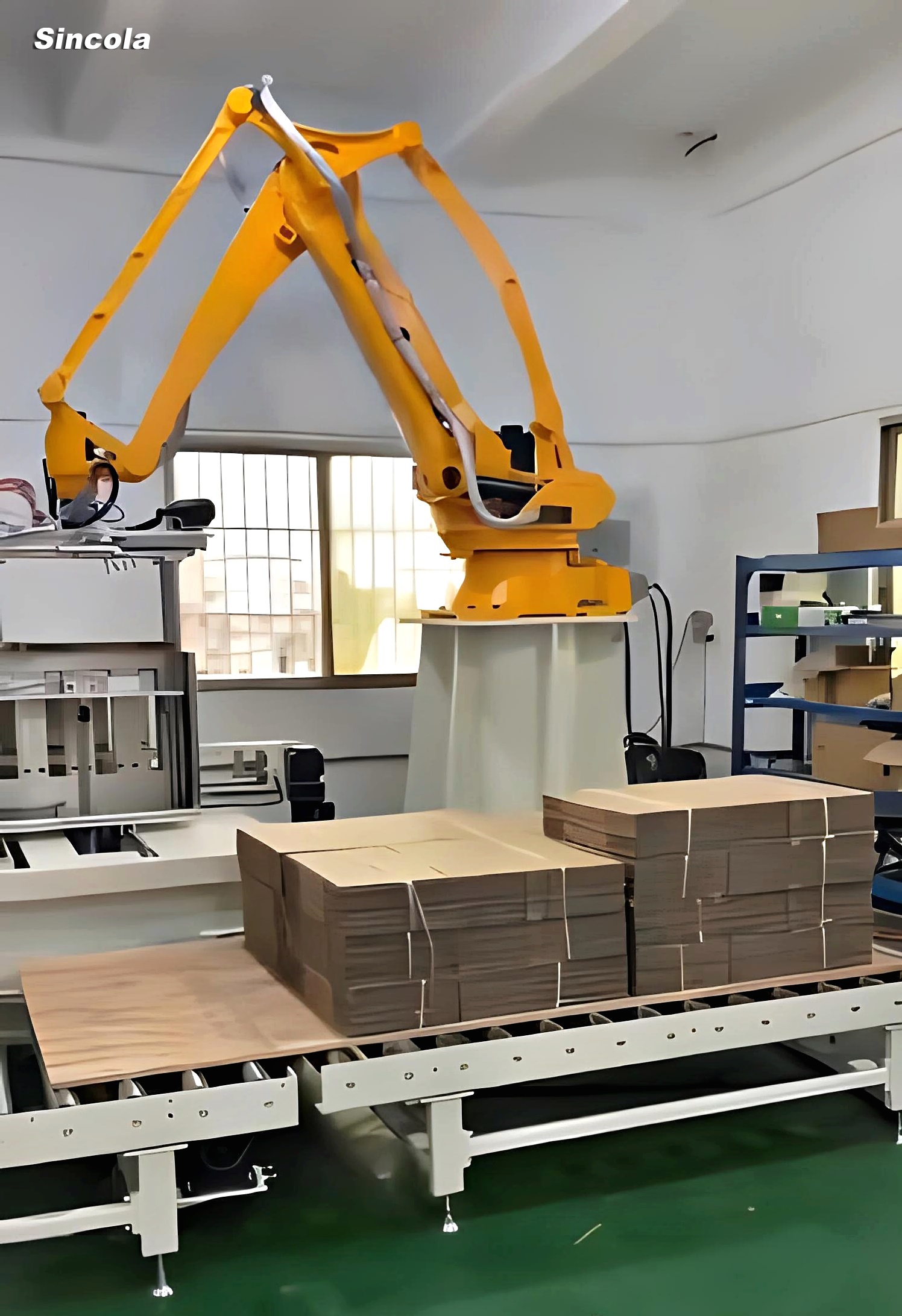 Robot palletizer Carton robot palletizer